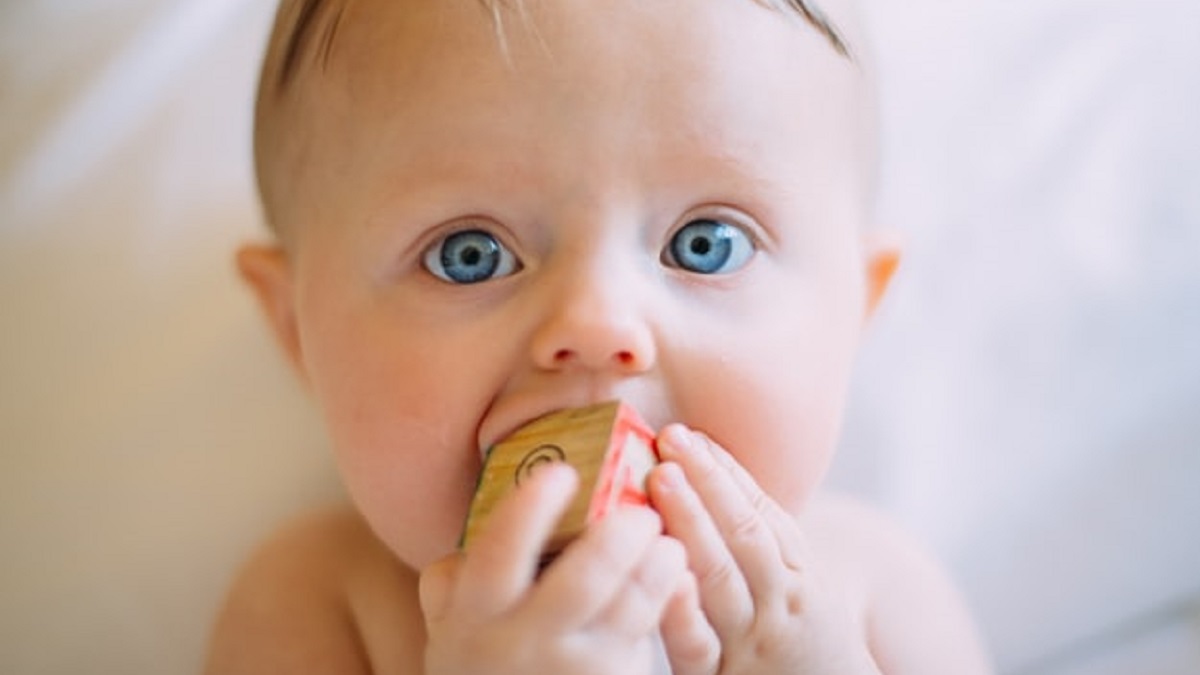 Exploring the Baby Bust : An Honest Look from a Millennial's ...